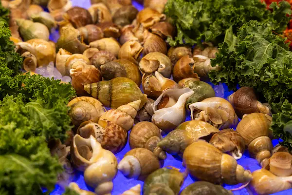 East Bay Buffet | Bay Area All-You-Can-Eat Asian & International Cuisine
